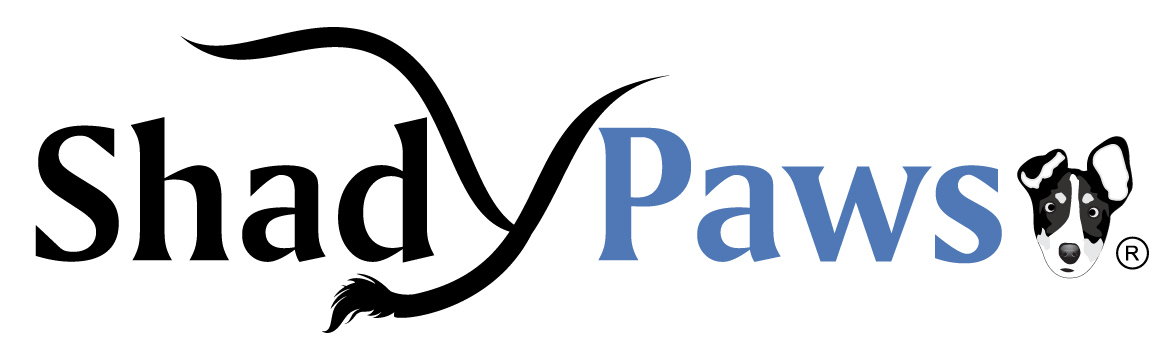 How To Calm And Protect Dogs From the Sun