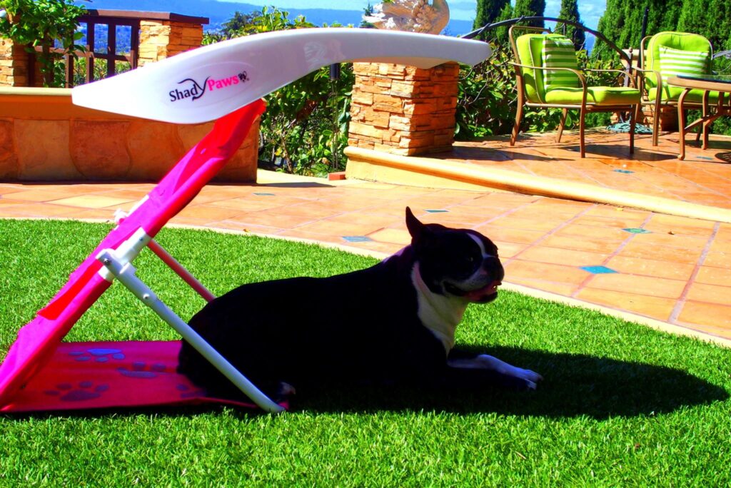 ShadyPaws / Dog Shade / Portable Pet Canopy Sunshades – Jockey Red ...