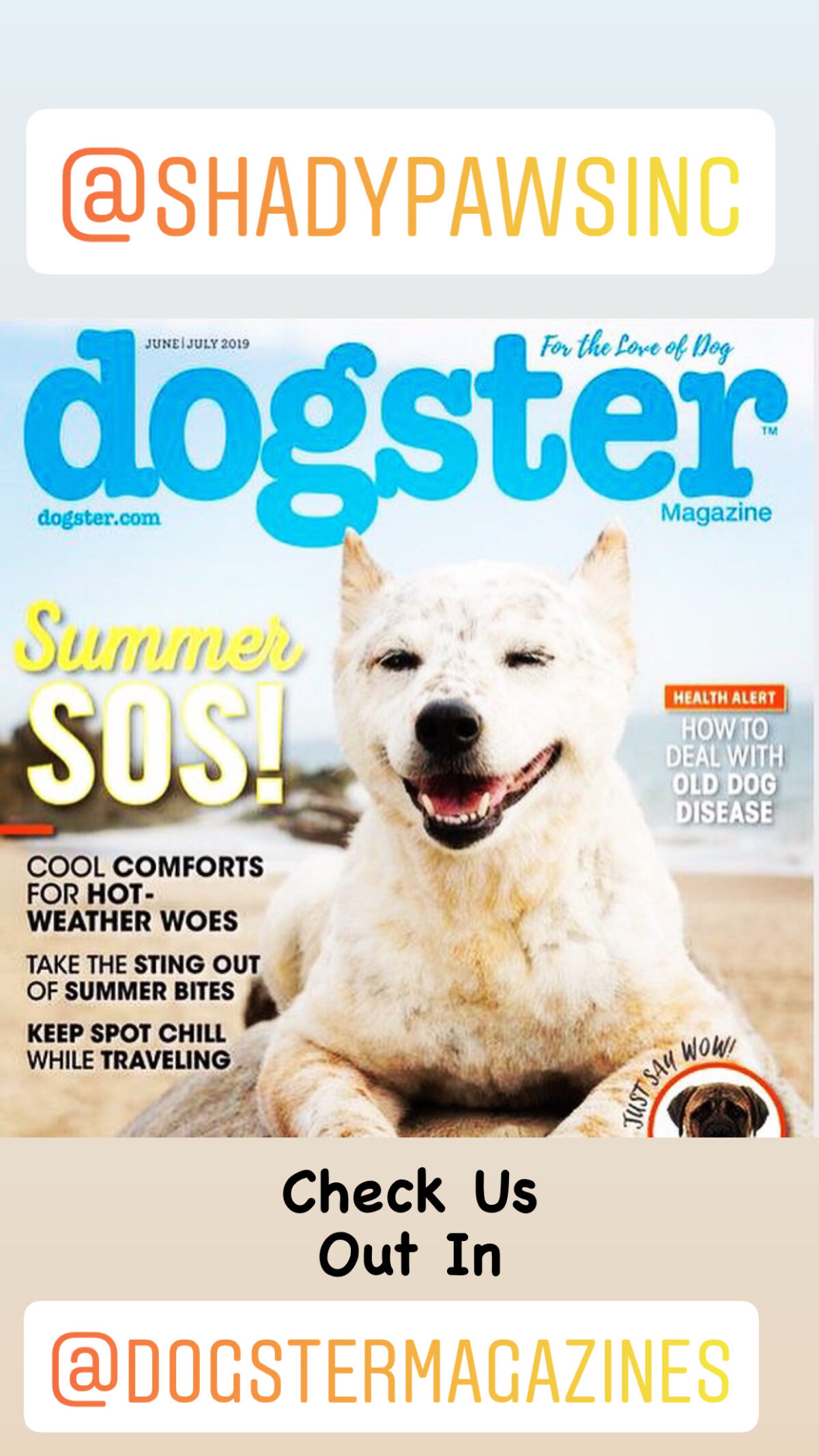 Dogster Magazine / ShadyPaws,Inc.